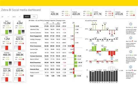 Report Template Gallery Power BI Excel PowerPoint Zebra BI