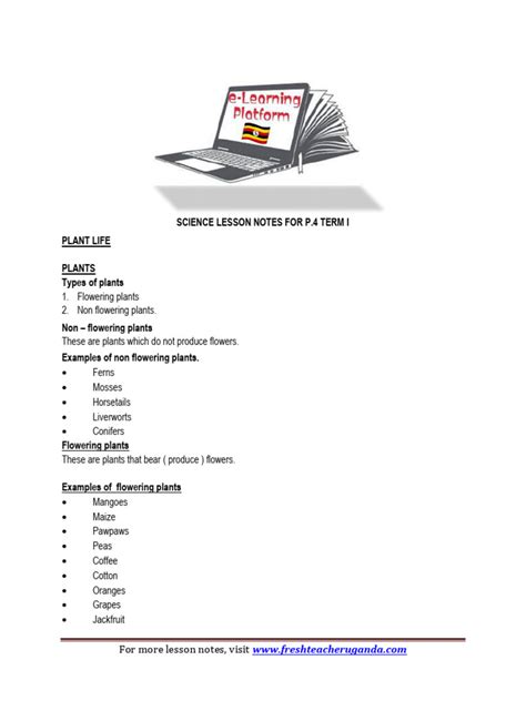 P4 Science Lesson Notes All Terms Pdf Leaf Seed