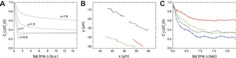 velocity autocorrelation analysis of particle trajectories a
