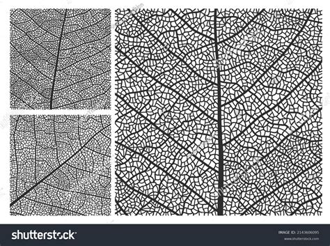Leaf Texture Pattern Background Veins Cells Stock Vector Royalty Free 2143606095 Shutterstock