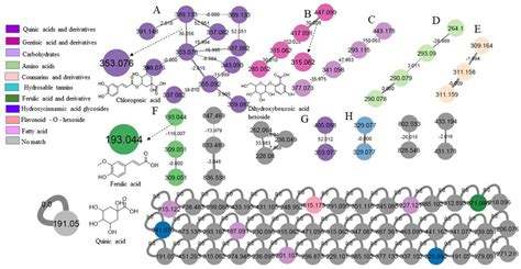 full molecular networking created using negative ms ms data