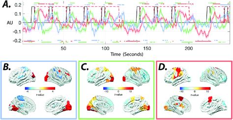 Temporal And Spatial Profiles Of Estimated External Inputs Associated