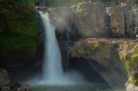 Ubud Tegenungan Waterfall Butterfly Park Monkey Forest And Petulu