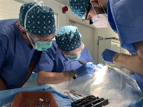 Unembalmed Cadaver Dissection Of The Anterior Shoulder