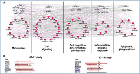 New RNA Sequencing Study Provides Insight Into HIV Vaccine Protection RNA Seq Blog