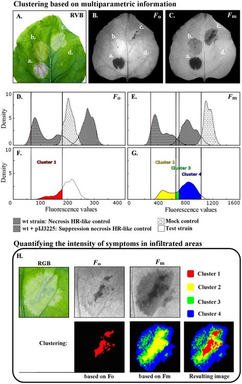 Ag Clustering Based On Multiparametric Information Thresholds For Download Scientific