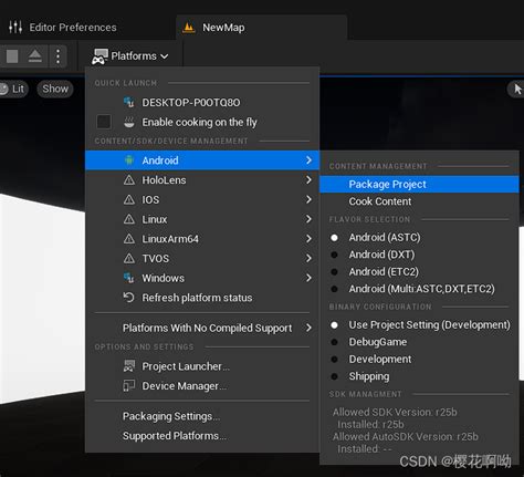 ue5 pico打包配置 ue pico打包 csdn博客