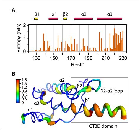 sequence entropy in the prp globular domain a the sequence entropy