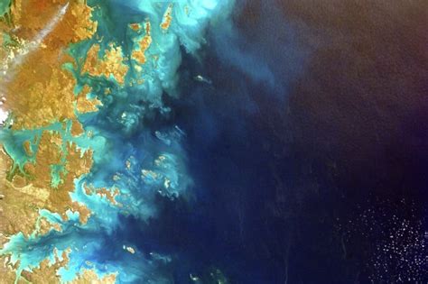 Identifying And Mitigating Environmental Social And Governance Risks Skretting