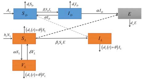 Compartmental Model Of The Transmission Dynamics Of Ce Download
