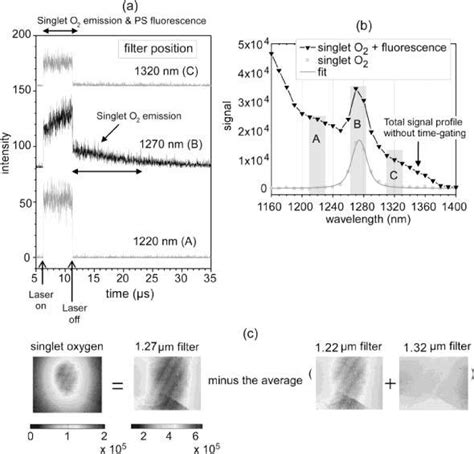 Singlet Oxygen Detection Method A Temporal Profiles Using Pmt Download Scientific Diagram