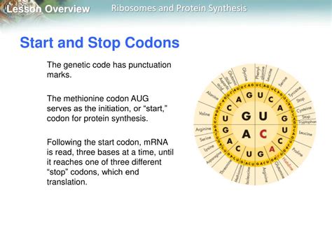 Ppt Lesson Overview Powerpoint Presentation Free Download Id2057479