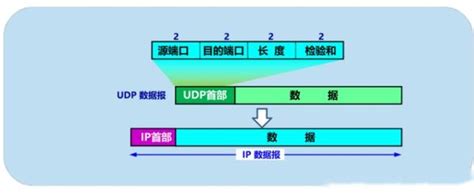 Linux网络技术栈，看这篇就够了（图文并茂） 知乎