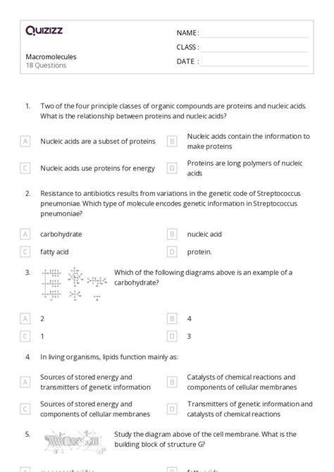 50 Macromolecules Worksheets For 9th Grade On Quizizz Free And Printable