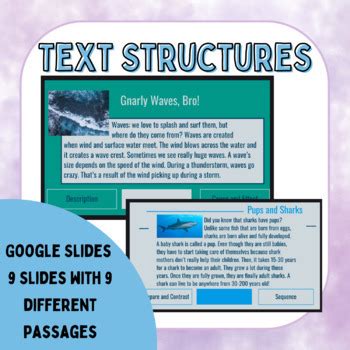 Text Structures Slides By Meg S Babe Shop TPT