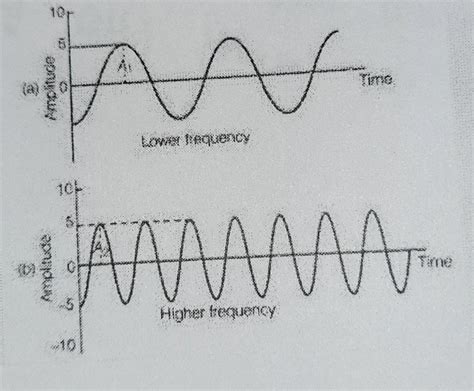 Which Process Is Represented By The Arrows In The Diagram Seeds Wiringunderstanding Flowchart