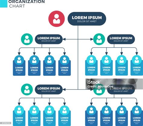 조직의 비즈니스 구조입니다 직원 아이콘 벡터 조직 구조 계층 구조 차트 인적 자원에 대한 스톡 벡터 아트 및 기타 이미지 인적 자원 차트 직원 Istock