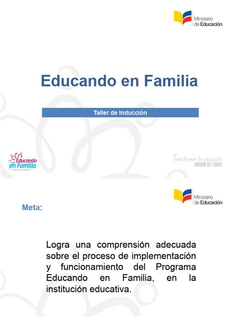Proceso De Implementacion Del Programa Pdf