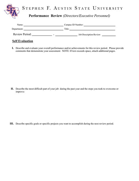Performance Review Self Evaluation Review Period
