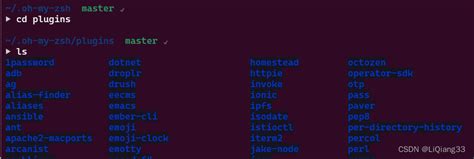 Wsl02 Wsl配置强大的 Zshwsl Zsh Csdn博客