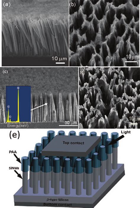 a cross sectional sem image of p type sinws arrays b planer sem