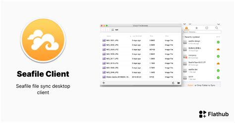 Installar Seafile Client Sur Linux Flathub