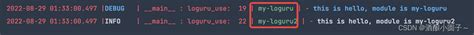 Python日志记录库——loguru Csdn博客