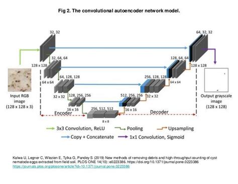 The Convolutional Autoencoder Network Model Ppt