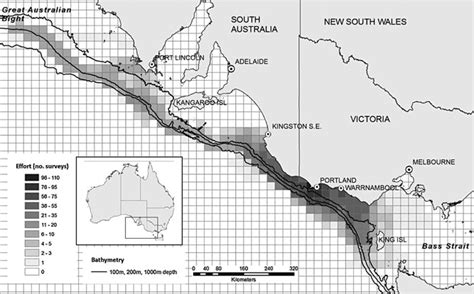 Aerial Cetacean Survey Effort In Continental Shelf And Slope Waters Off Download Scientific