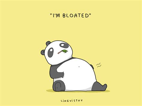 12 Reasons Pandas Give Not To Have Sex Huffpost Entertainment