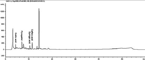 The Rp Hplc Chromatogram Of Phenolic Compounds In Methanolic Extract Download Scientific