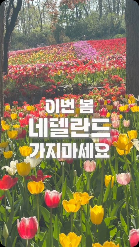 서울에서 1시간 여긴 유럽인가요 제작지원 26년 동안 정성스레 가꾼 정원 동화 속 정원이 눈 앞에 이국적인 풍경에 드라마 60편 촬영한 드라마 맛집 5개 건물에 각각 다른