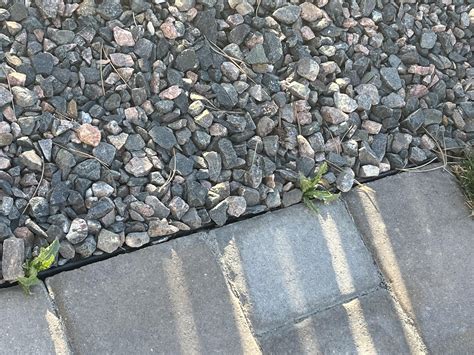 landscaping fabric not working r landscaping