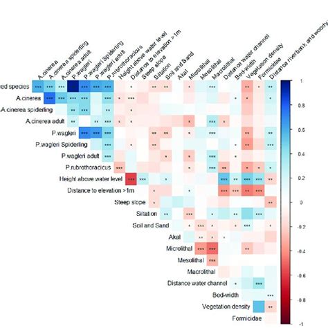 Correlation Matrix After Spearmans Rank Correlation Rho And
