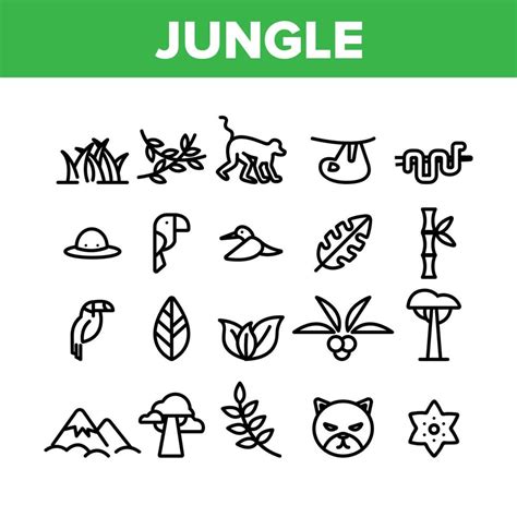 Jungle Forest Collection Elements Icons Set Vector 9924754 Vector Art At Vecteezy