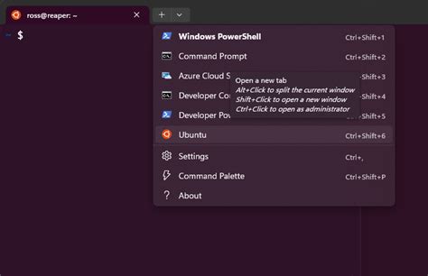 Wsl Over Powershell Ross Brandon