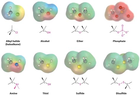 Halide Functional Group