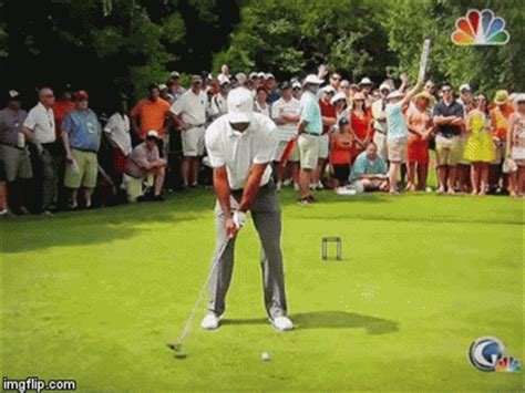Animated  Imgflip