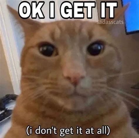 Me When My Boss Tells Me To Do Something Rheb