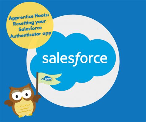 Apprentice Hoots Locked Out Of Salesforce How To Reset Your