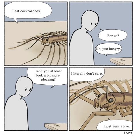 Best Insects Arthropod Memes R Entomology