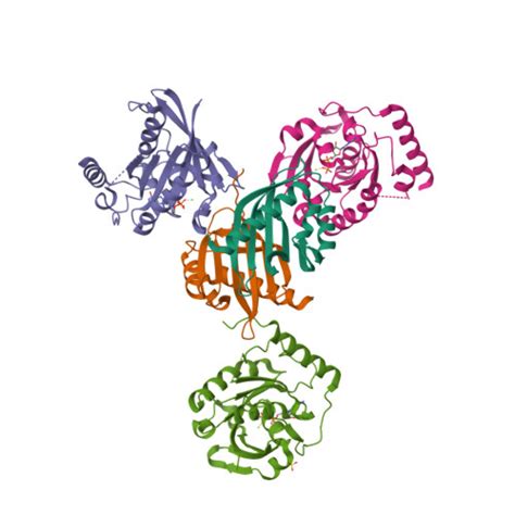 Rcsb Pdb 5bxq Structure Of The Ntf2rangdp Complex