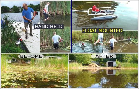 How To Remove Cattails From A Pond Proven Tactics