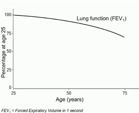 Measurement Of Lung Function Respiratory System Flashcards Quizlet