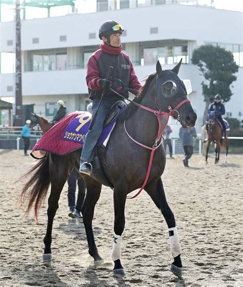 【池添謙一のken To 1】ホープフルsはショウナンマクベスで 1枠2番は特徴生かせる好枠 Umatoku 馬トク