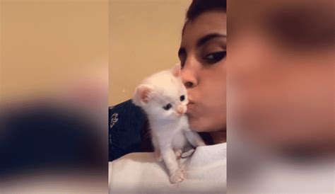 Facebook Viral Gatito Imita Tierna Acción De Su Dueña Y Le Da Amoroso