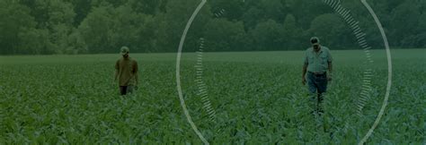 crop scouting vs crop intelligence roi taranis