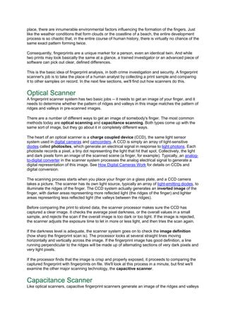 How Fingerprint Scanners Work PDF