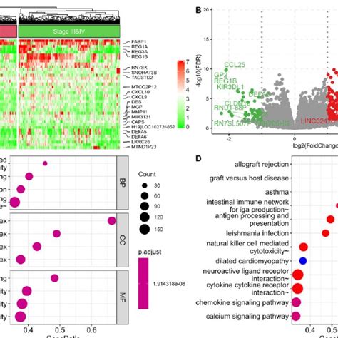 Functional Enrichment Analysis And Differential Gene Expression