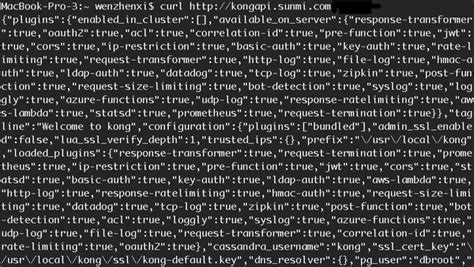 Kong网关 — Konga管理ui使用 知乎